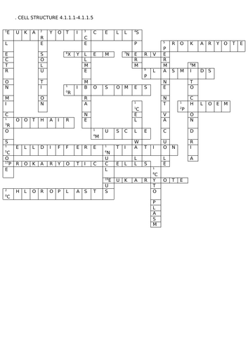 Biology Paper 1 Higher Puzzle Bundle and Answers | Teaching Resources