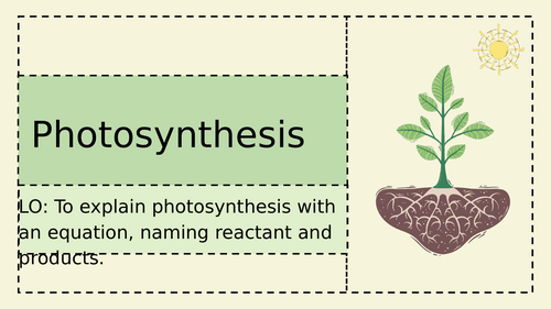 GCSE Biology Photosynthesis Topic | Teaching Resources