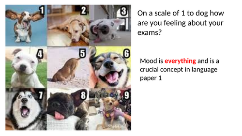 AQA English Language paper 1 WTM (Walking talking mock) 2024 with student booklet and power ...