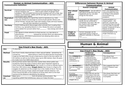 AQA GCSE Psychology: Paper 2 - Language, Thought & Communication BUNDLE ...