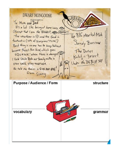 Meerkat Mail by Emily Gravett - Year 2 Unit of Writing Resources ...