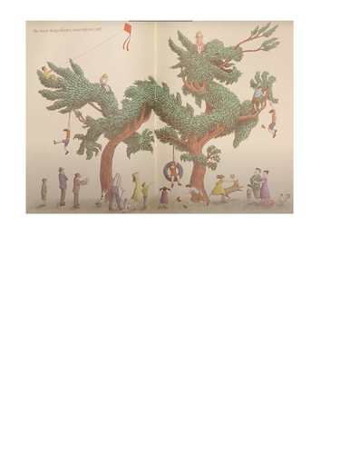 The Night Gardener by The Fan Brothers - Year 2 Unit of Writing ...