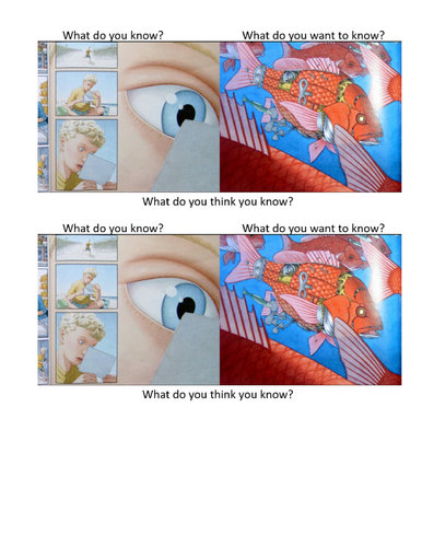 Flotsam by David Wiesner - Year 3 Unit of Writing Resources | Teaching ...