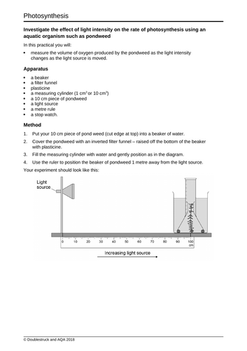 GCSE - Rate of Photosyntheis RP | Teaching Resources
