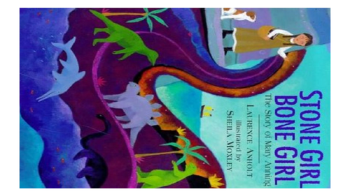 Stone Girl, Bone Girl by Laurence Anholt - Year 3 Unit for Writing ...