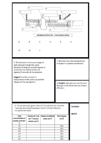 Mini assessments/ reviews OCR A Biology Mid unit Checkpoints | Teaching ...