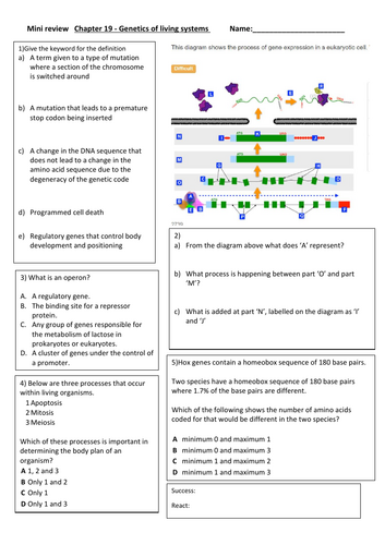 Mini assessments/ reviews OCR A Biology Mid unit Checkpoints | Teaching ...