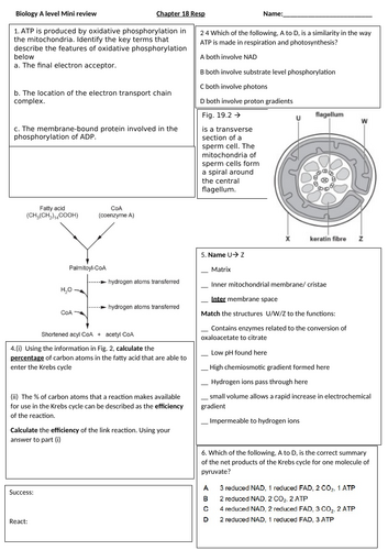 Mini assessments/ reviews OCR A Biology Mid unit Checkpoints | Teaching ...