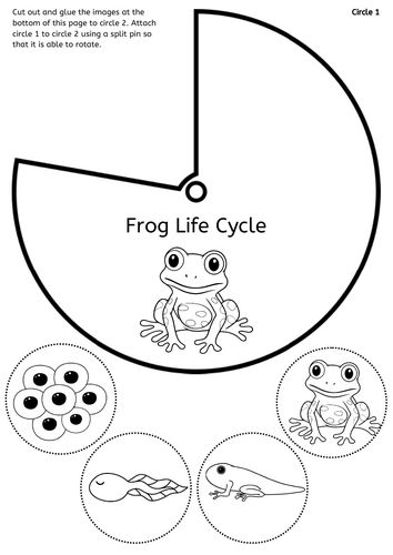 The Life Cycle of a Frog: Powerpoint and Worksheets | Teaching Resources