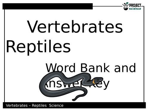 Vertebrates - Reptiles Science Doodles | Teaching Resources