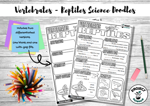 Vertebrates - Reptiles Science Doodles | Teaching Resources