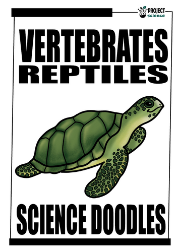 Vertebrates - Reptiles Science Doodles | Teaching Resources