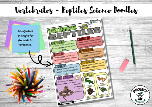 Vertebrates - Reptiles Science Doodles | Teaching Resources