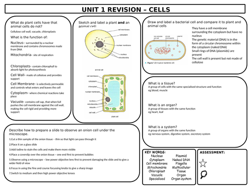 GCSE Biology - Completed Cells Revision Mat / Knowledge Organiser ...