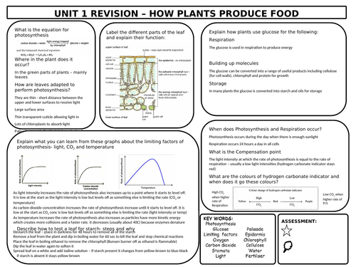 GCSE Biology - Completed Photosynthesis Revision Mat / Knowledge ...