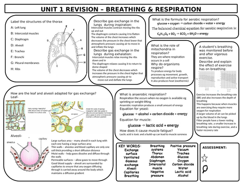 GCSE Biology - Completed Respiration Revision Mat / Knowledge Organiser ...