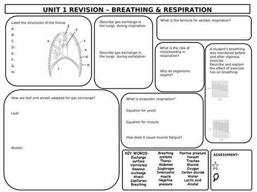GCSE Biology - Completed Respiration Revision Mat / Knowledge Organiser | Teaching Resources