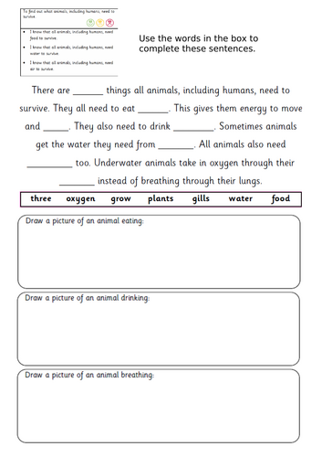 Animals Including Humans Year 2 Unit of Work | Teaching Resources