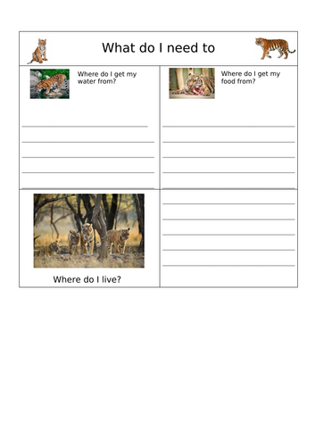 Animals Including Humans Year 2 Unit of Work | Teaching Resources