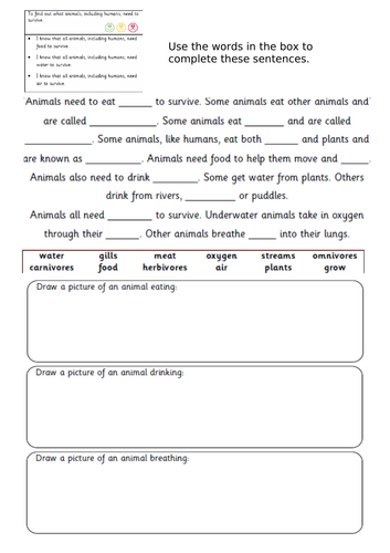 Animals Including Humans Year 2 Unit of Work | Teaching Resources