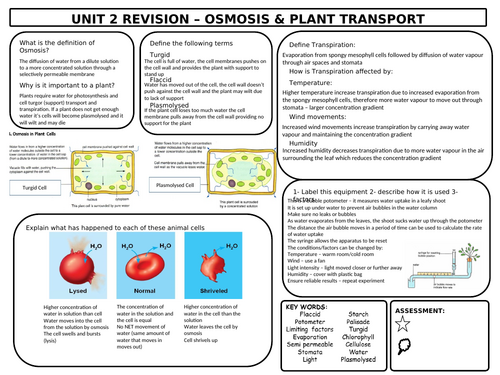 GCSE Biology - Completed Osmosis Revision Mat / Knowledge Organiser | Teaching Resources