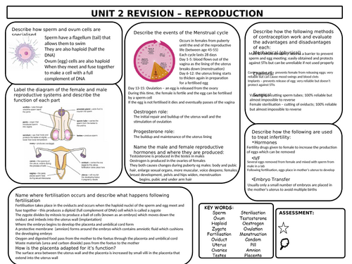 GCSE Biology - Completed Reproduction Revision Mat / Knowledge ...