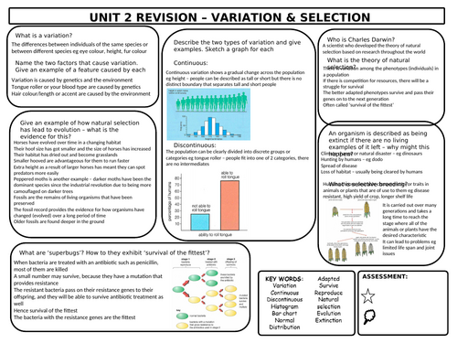 GCSE Biology - Completed Variation & Selection Revision Mat / Knowledge Organiser | Teaching ...