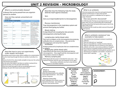 GCSE Biology - Completed Health & Disease Revision Mat / Knowledge ...