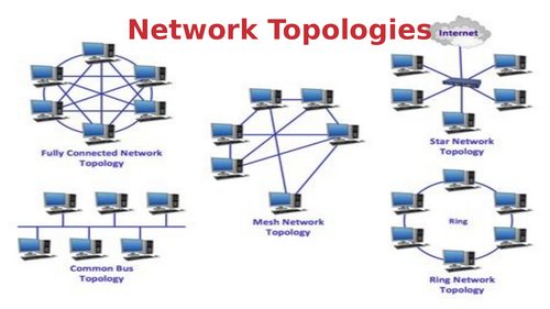 Network Topologies Teaching Resources