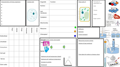IGCSE Nature and variety of organisms Section 1 Revision poster Biology ...