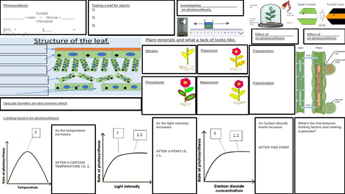 IGCSE Section 3 - Plant nutrition and transport Revision poster Biology ...