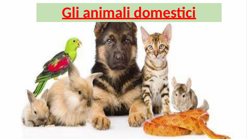 Gli animali domestici | Teaching Resources
