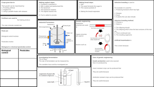 IGCSE Section 9 - Uses of biological molecules Revision poster Biology ...
