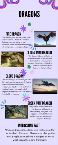 Dragon Fact File | Teaching Resources