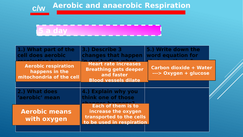 Respiration- GCSE Biology | Teaching Resources