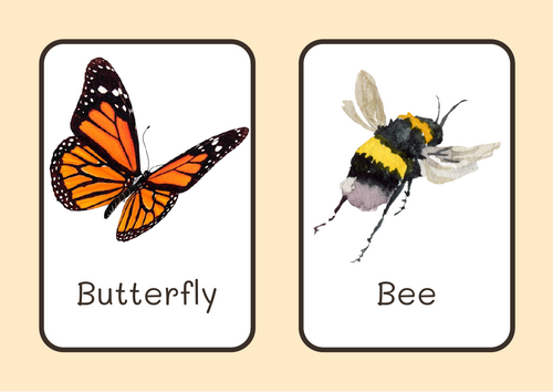 Spring Themed Sensory Story/Poem and activities for SEND/PMLD ...