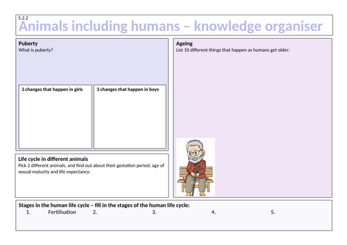 Yr5 Science: Animals Including Humans | Teaching Resources