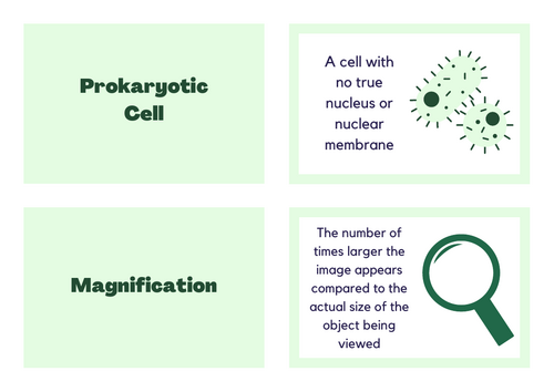 U1 Applied Science Flashcards Biology | Teaching Resources