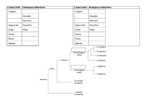 Life in the Sloth Lane: General and Practical Applications in Biology ...