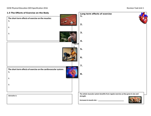 GCSE PE [OCR] – Paper 1 & 2 – Year 11 Examination Revision | Teaching ...