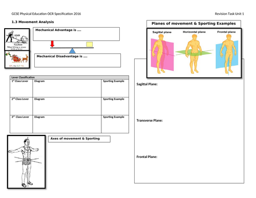GCSE PE [OCR] – Paper 1 & 2 – Year 11 Examination Revision | Teaching ...