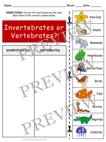 Invertebrates or Vertebrates | Cut and Paste Sorting Activity ...