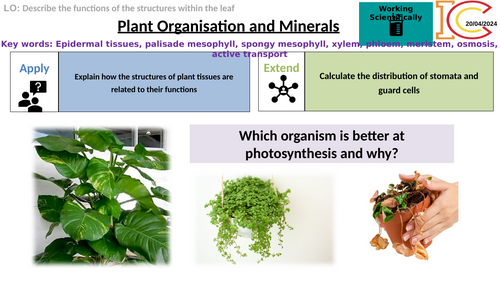 AQA Biology Plant Organisation | Teaching Resources