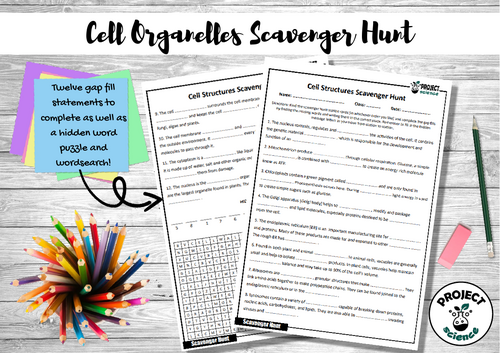 Cell Organelles Scavenger Hunt | Teaching Resources