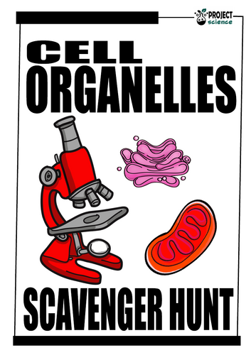 Cell Organelles Scavenger Hunt | Teaching Resources