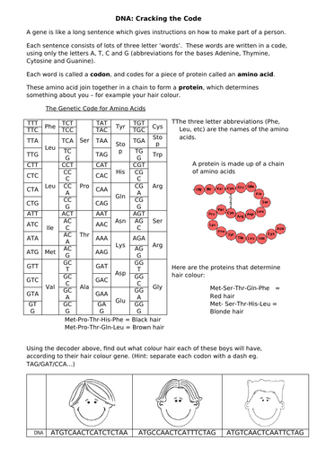 Aqa Gcse Biology Lesson 2 Structure Of Dna Bio Only Inheritance Variation And Evolution