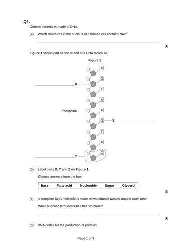 AQA GCSE Biology "Lesson 2 - Structure of DNA" BIO ONLY (Inheritance ...