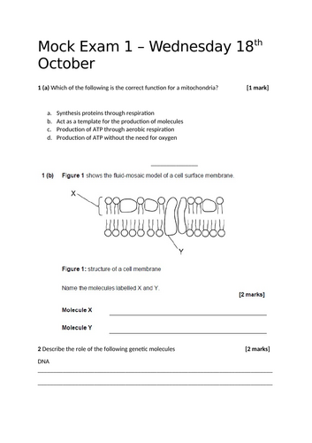 T-Level Health Paper B Questions Bank | Teaching Resources