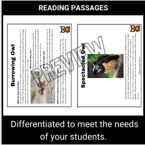 All About Owls: Non-Fiction Literacy Unit | Teaching Resources