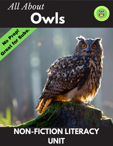 All About Owls: Non-Fiction Literacy Unit | Teaching Resources
